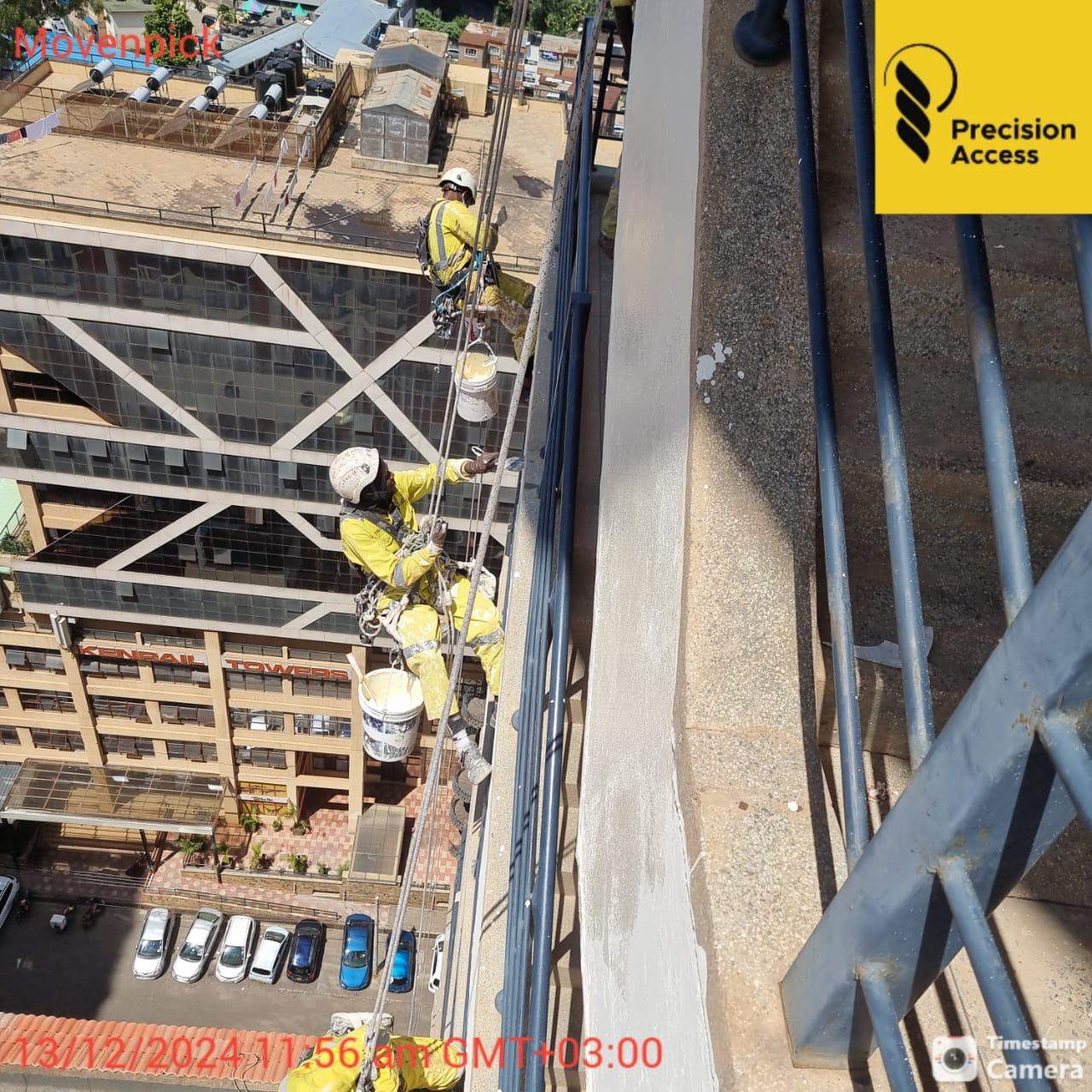 Movenpick Hotel: Painting – Precision Access